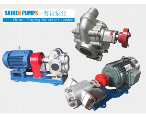 Gear Pumps, External & Internal Gear Pumps | China saiken Pumps